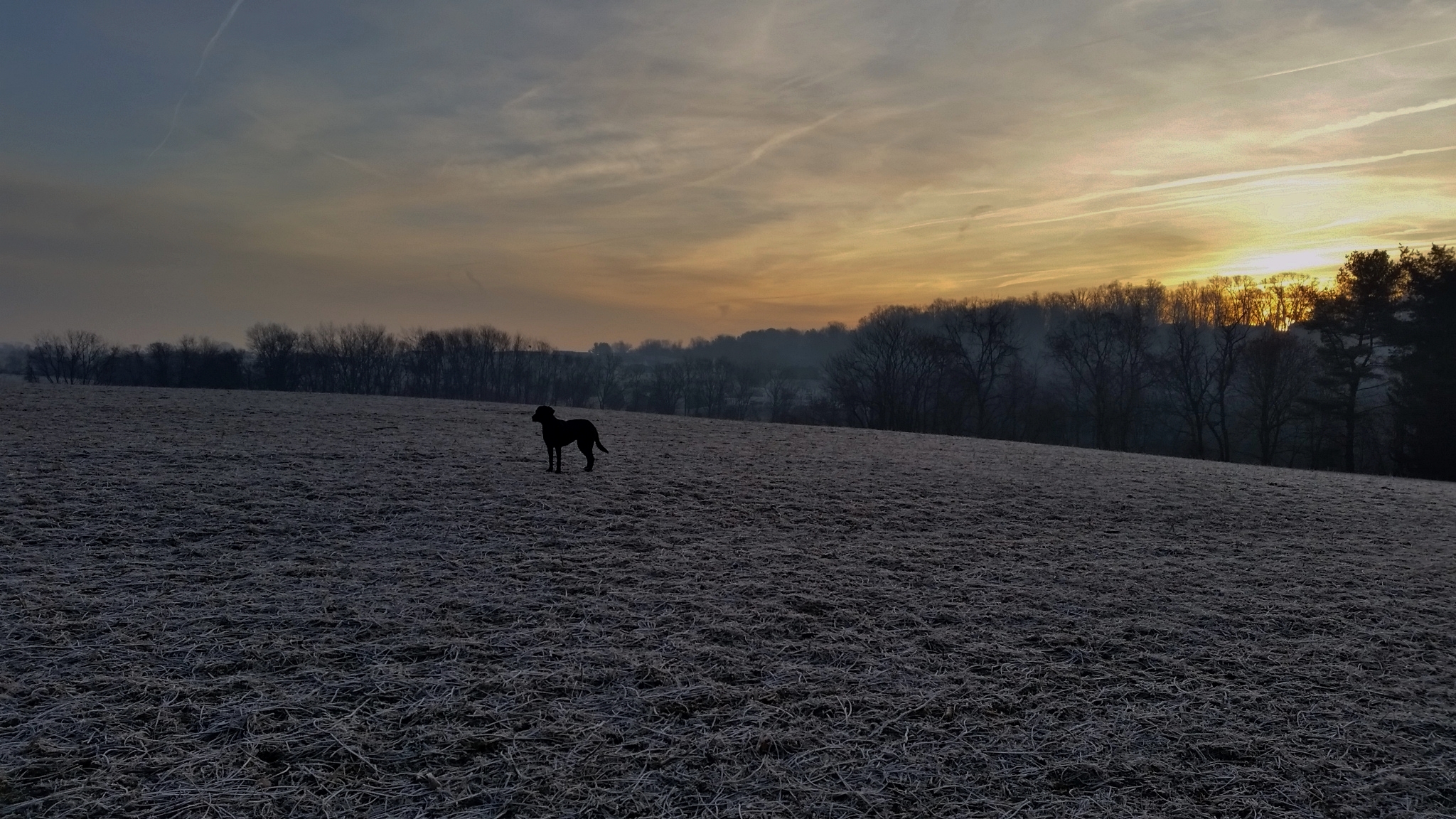 Morning Invitation – Lessons from a Lab