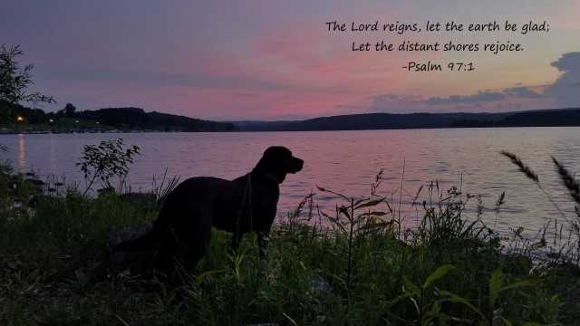 A Moment with Our Creator: Psalm 97:1 – Lessons from a Lab