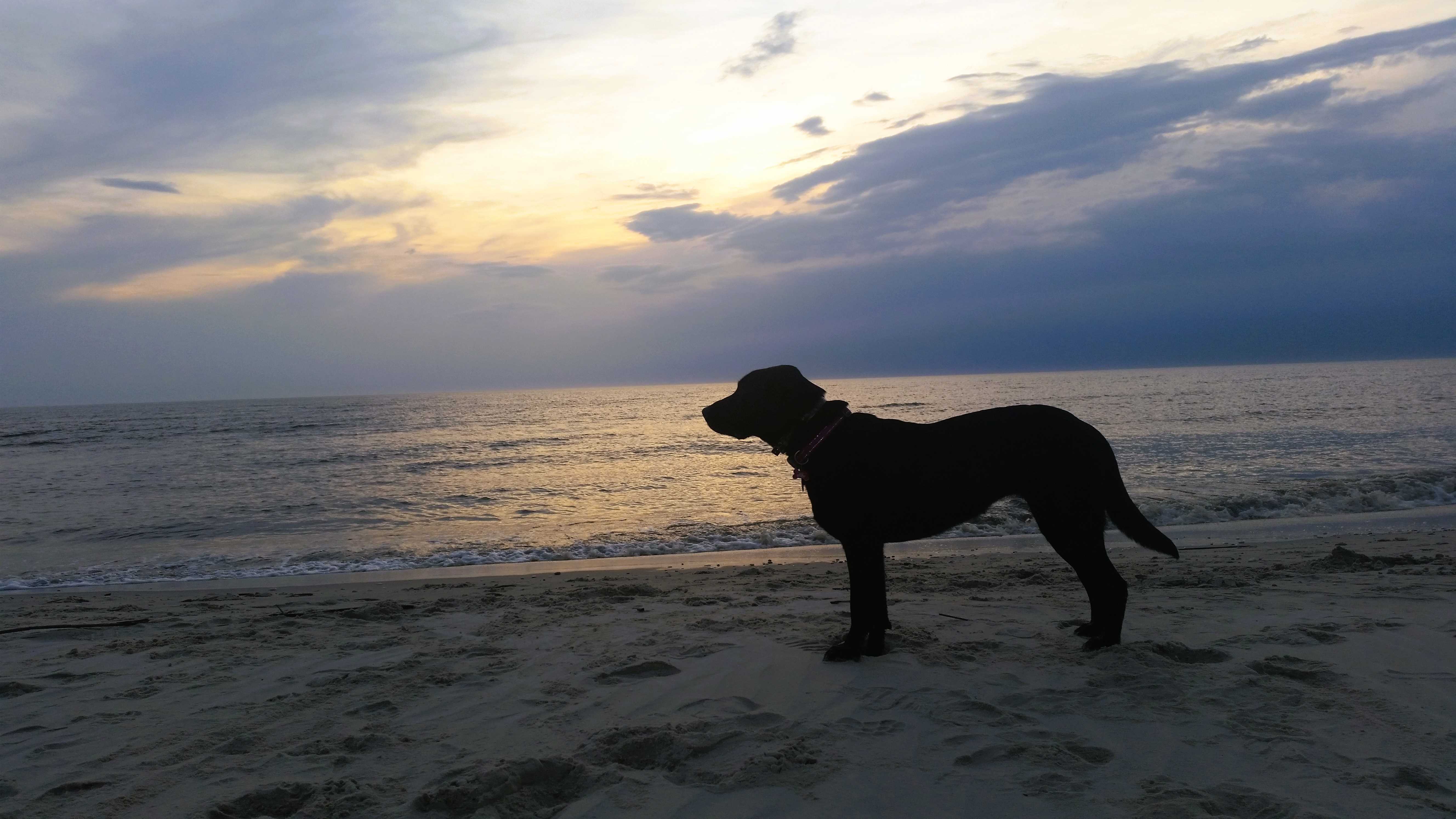 Something’s Missing – Lessons from a Lab